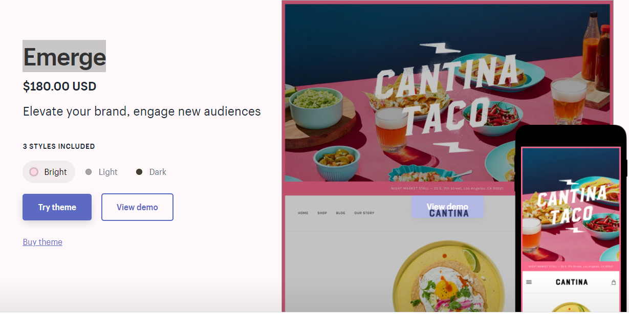 Top 5 Ecommerce Website Premium Themes